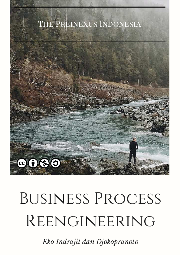 (PDF) Business Process Reengineering