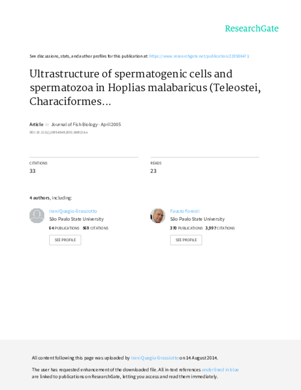 (PDF) Ultrastructure of spermatogenic cells and spermatozoa in Hoplias ...