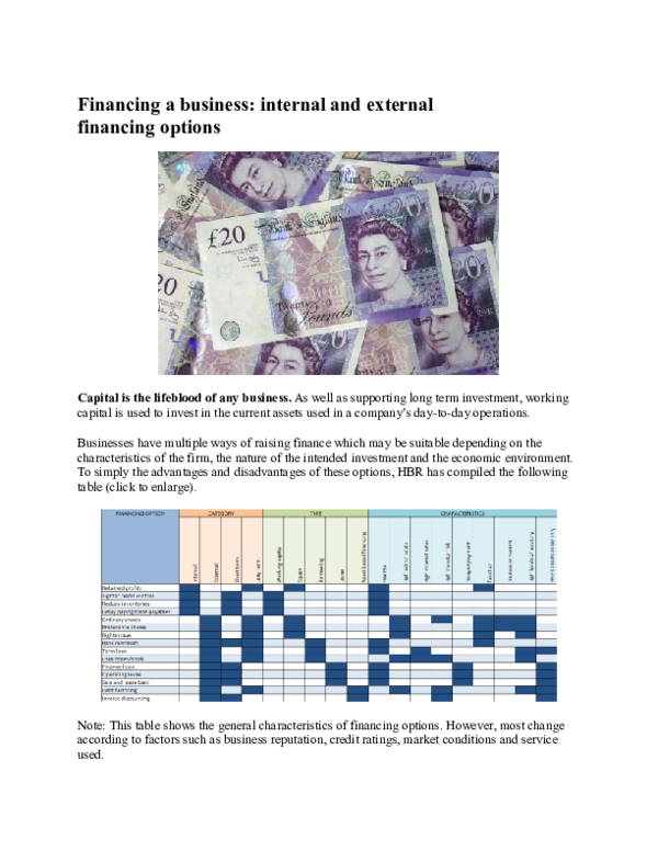 (DOC) Financing a business: internal and external financing options