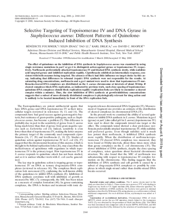 (PDF) DNA Cleavage Activities of Staphylococcus aureus Gyrase and Topoisomerase IV Stimulated by ...