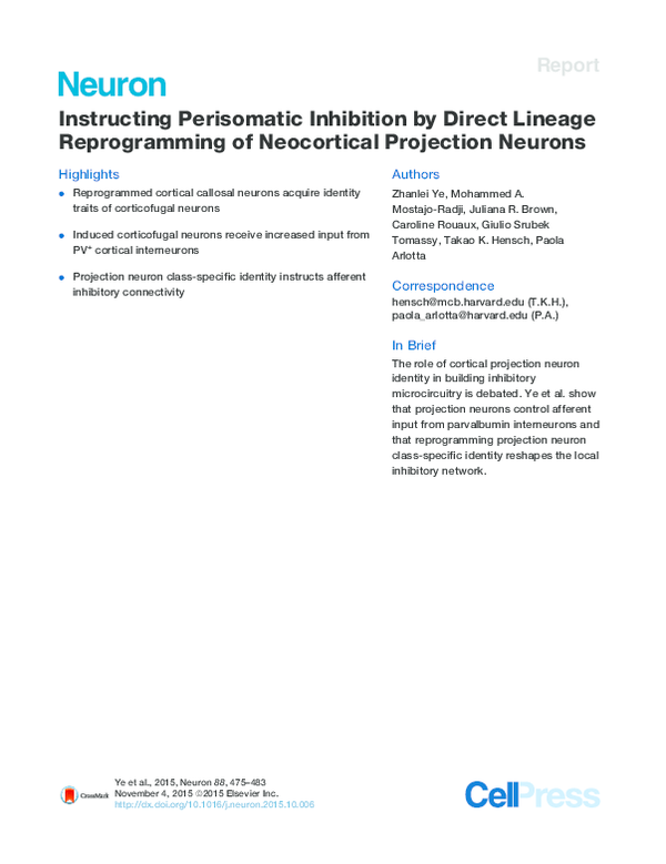 (PDF) Instructing Perisomatic Inhibition by Direct Lineage ...