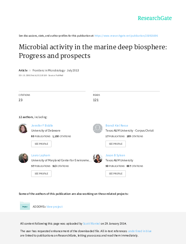 (PDF) Microbial activity in the marine deep biosphere: progress and ...