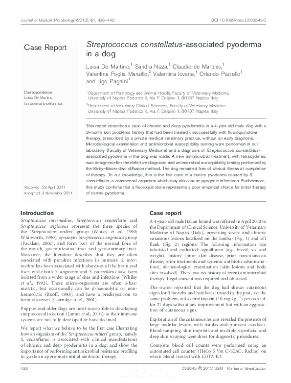 (PDF) Streptococcus constellatus-associated pyoderma in a dog
