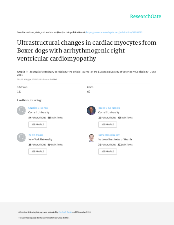 Ultrastructural changes in cardiac myocytes from Boxer dogs with ...