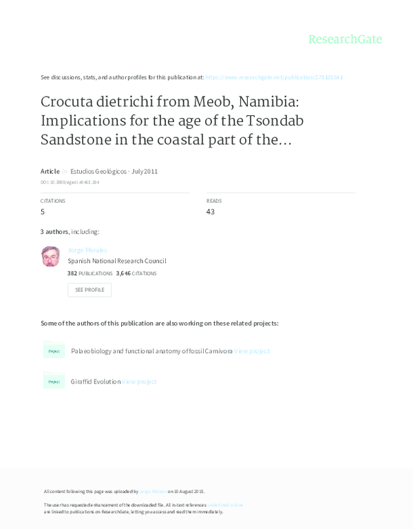 (PDF) Crocuta dietrichi from Meob, Namibia: implications for the age of ...