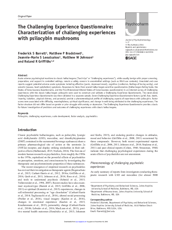 (PDF) The Challenging Experience Questionnaire: Characterization of ...