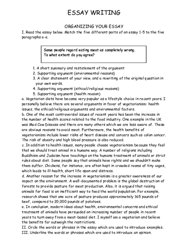 (DOC) ESSAY WRITING ORGANIZING YOUR ESSAY