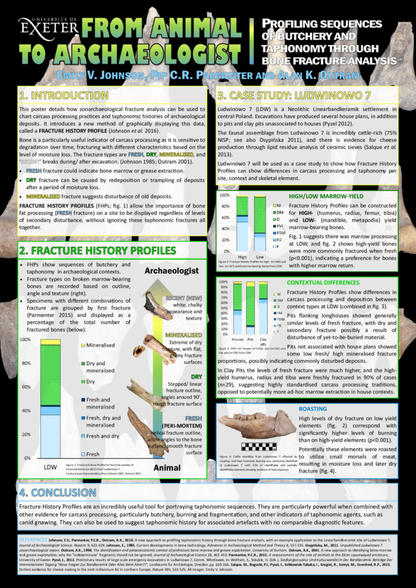 (PDF) From Animal to Archaeologist: profiling sequences of butchery and ...