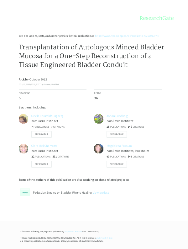 (PDF) Transplantation of Autologous Minced Bladder Mucosa for a One ...