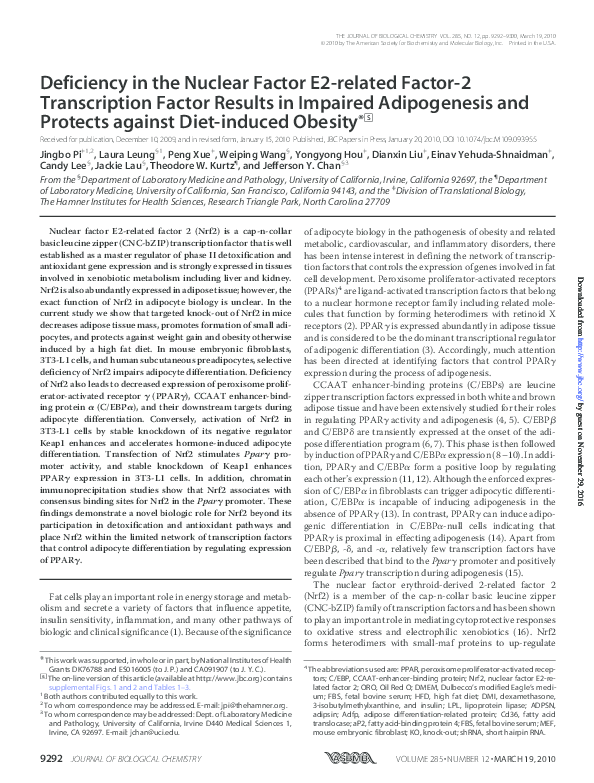 (PDF) Deficiency in the nuclear factor E2-related factor 2 renders ...