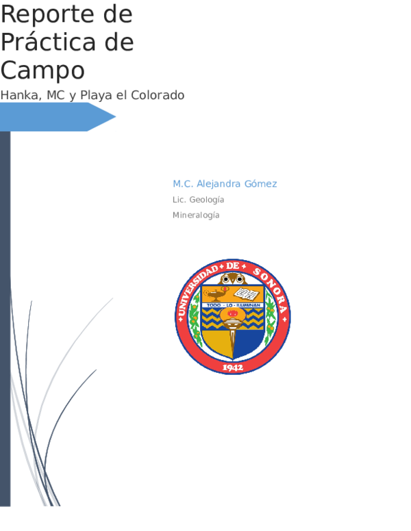 (DOC) Reporte de Práctica de Campo