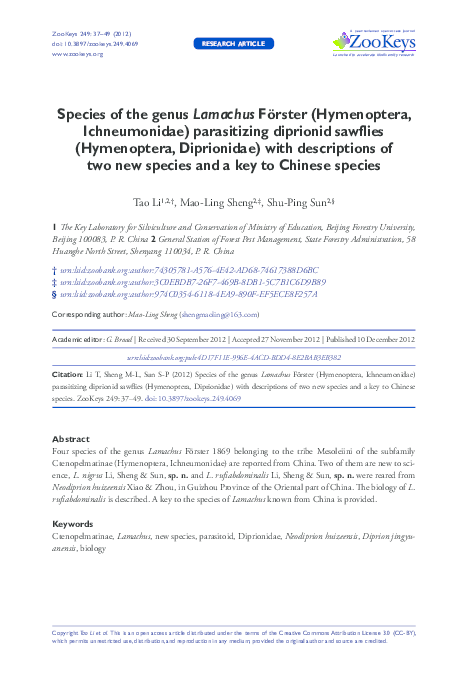 (PDF) Species of the genus Lamachus Förster (Hymenoptera, Ichneumonidae ...