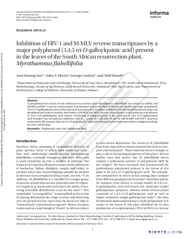 (PDF) Inhibition of HIV-1 and MMLV reverse transcriptases by the major ...