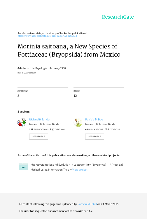 (PDF) Morinia saitoana, a New Species of Pottiaceae (Bryopsida) from Mexico