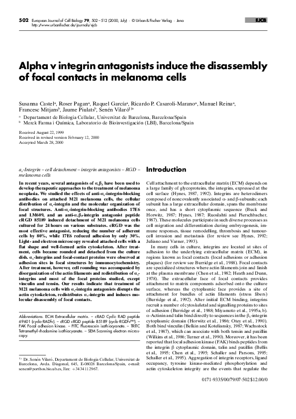 (PDF) Alpha v integrin antagonists induce the disassembly of focal ...