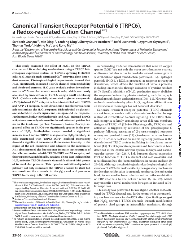 Canonical Transient Receptor Potential 6 (TRPC6), a Redox-regulated Cation Channel