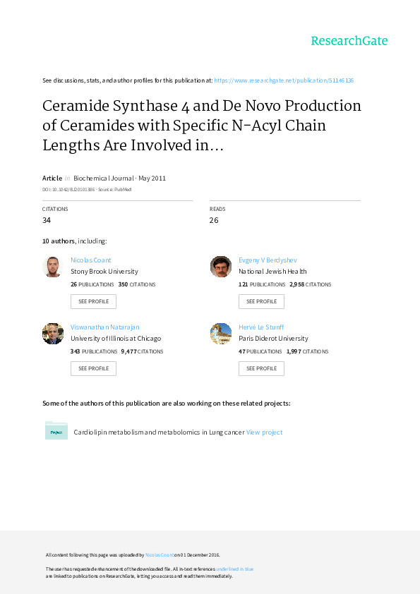 (PDF) Ceramide synthase 4 and de novo production of ceramides with ...