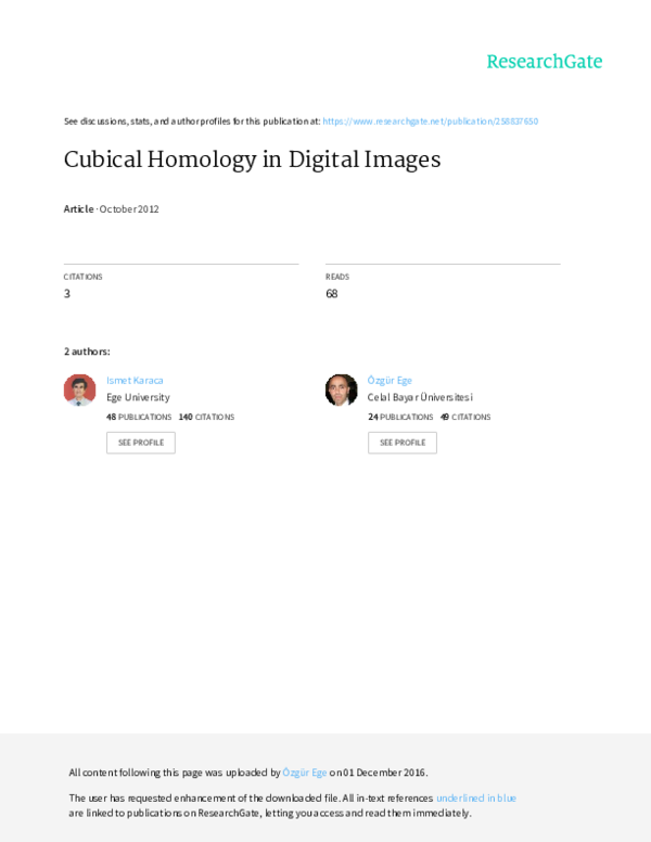 (PDF) Cubical Homology in Digital Images