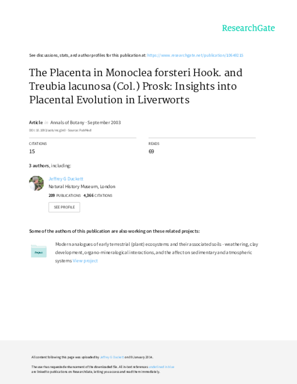 (PDF) The Placenta in Monoclea forsteri Hook. and Treubia lacunosa (Col ...