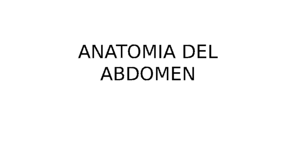 (PPT) ANATOMIA DEL ABDOMEN