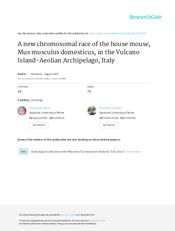 (PDF) A new chromosomal race of the house mouse, Mus musculus domesticus, in the Vulcano Island ...