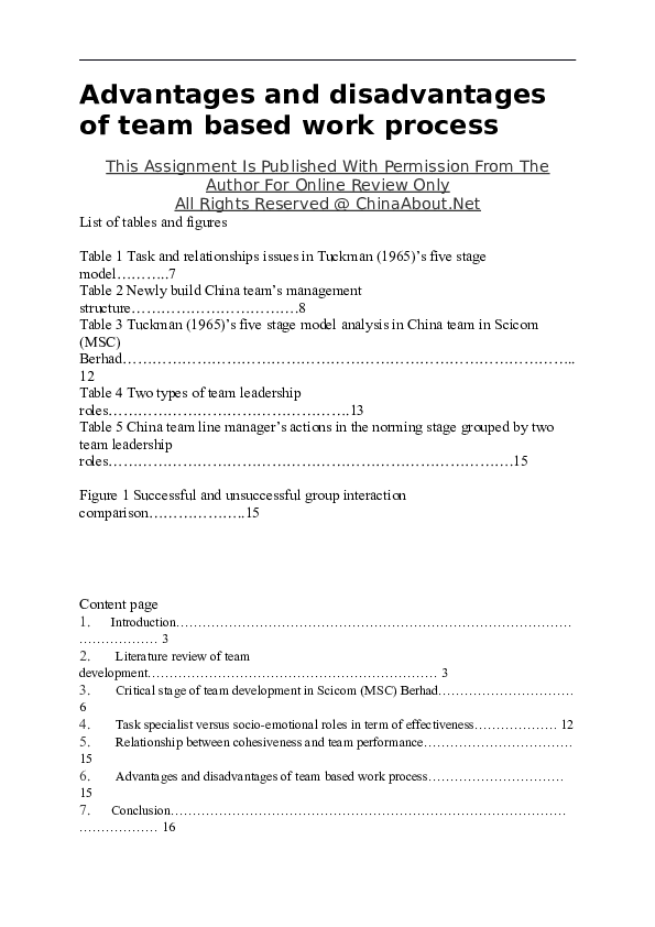 (DOC) Advantages and disadvantages of team based work process