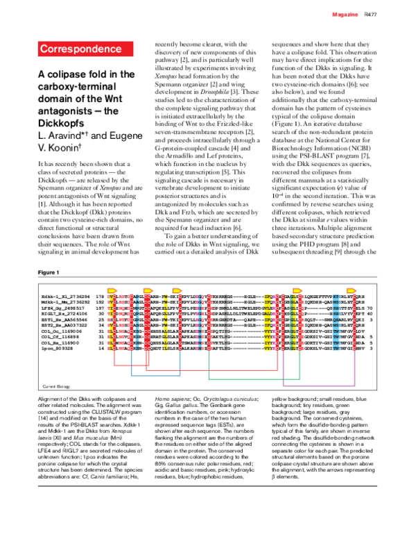 (PDF) A colipase fold in the carboxy-terminal domain of the Wnt ...