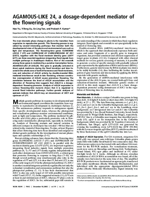 (PDF) AGAMOUS-LIKE 24, a dosage-dependent mediator of the flowering signals