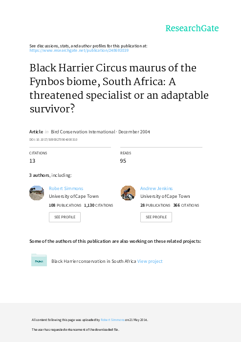 (PDF) Black Harrier Circus maurus of the Fynbos biome, South Africa: a ...