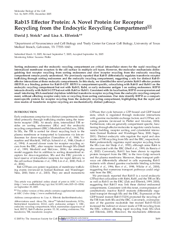 (PDF) Rab15 effector protein: a novel protein for receptor recycling ...