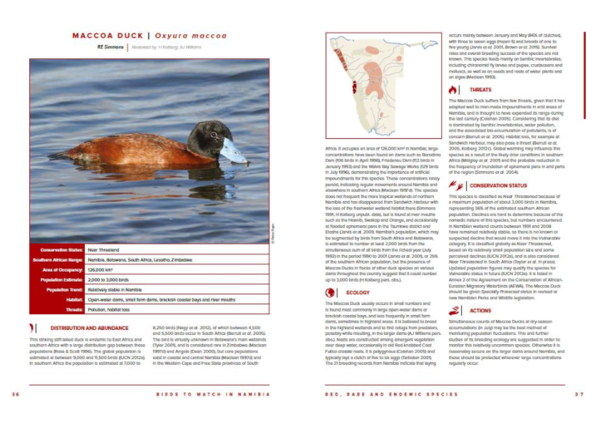 (PDF) Birds to watch in Namibia: red, rare and endemic species
