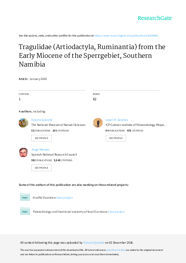 (PDF) Tragulidae (Artiodactyla, Ruminantia) from the Early Miocene of ...