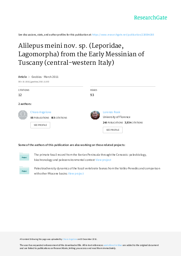(PDF) Alilepus meini nov. sp.(Leporidae, Lagomorpha) from the Early ...