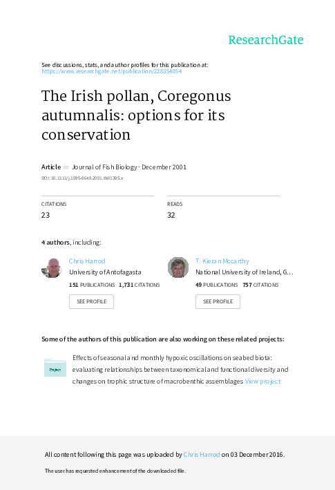 (PDF) The Irish pollan, Coregonus autumnalis: options for its conservation