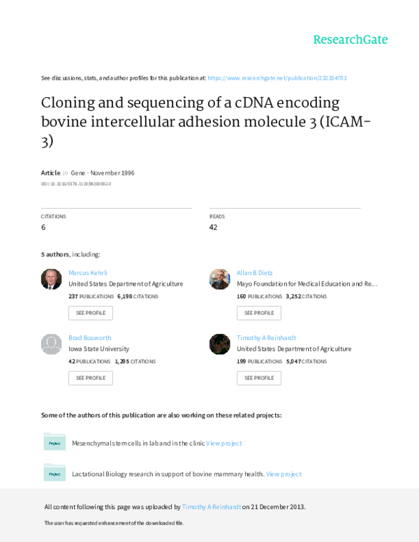 (PDF) Cloning and sequencing of a cDNA encoding the bovine FcR γ chain