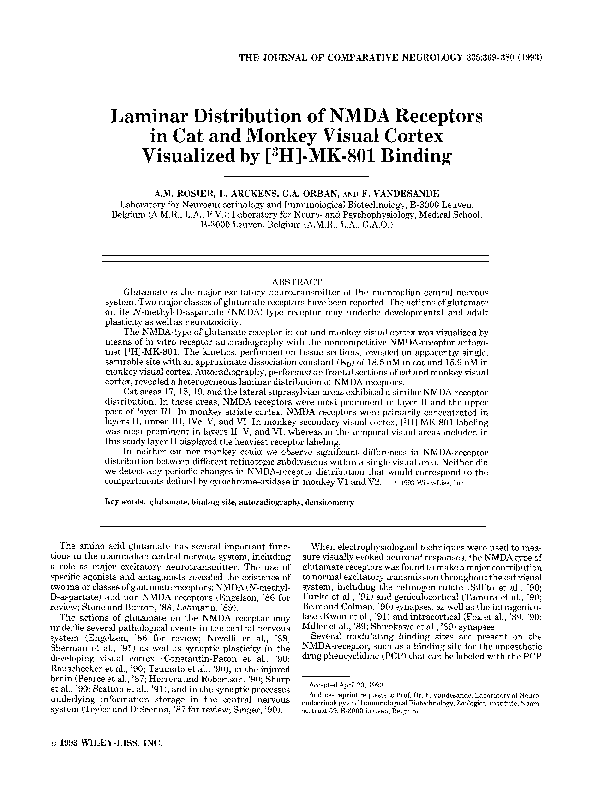 (PDF) Laminar distribution of NMDA receptors in cat and monkey visual cortex visualized by [3H ...
