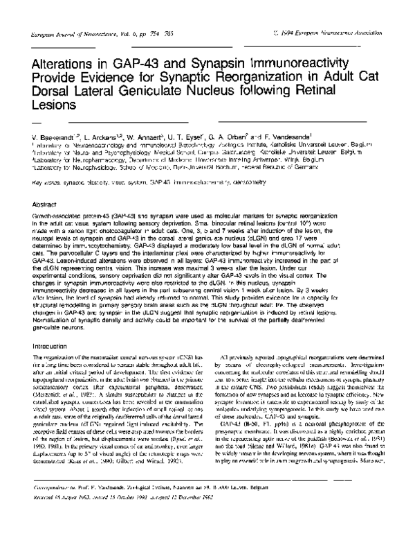 (PDF) GAP-43 and Synapsin Changes Post Retinal Lesions