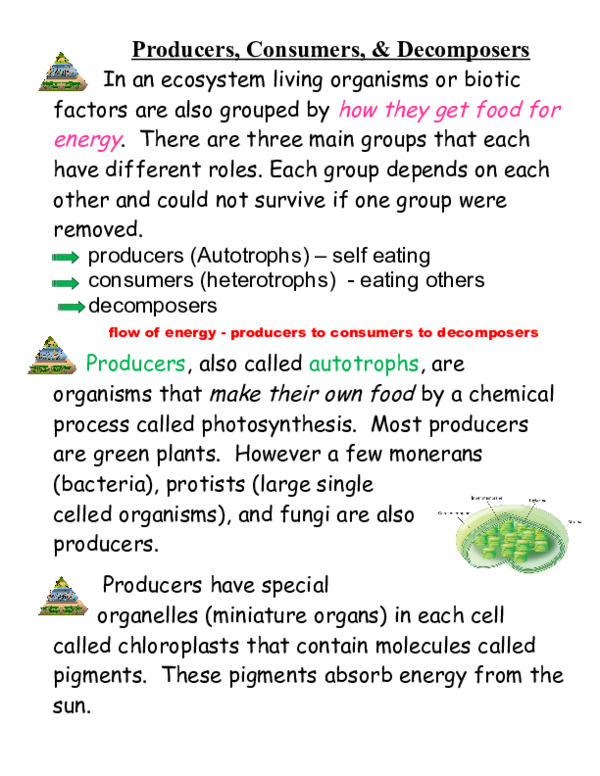 Producers And Consumers