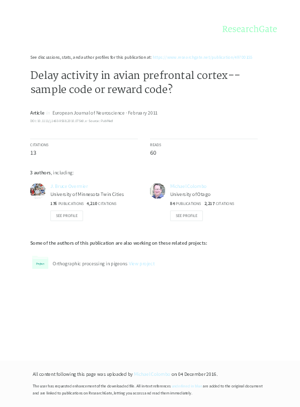 Pdf Delay Activity In Avian Prefrontal Cortex Sample Code Or Reward