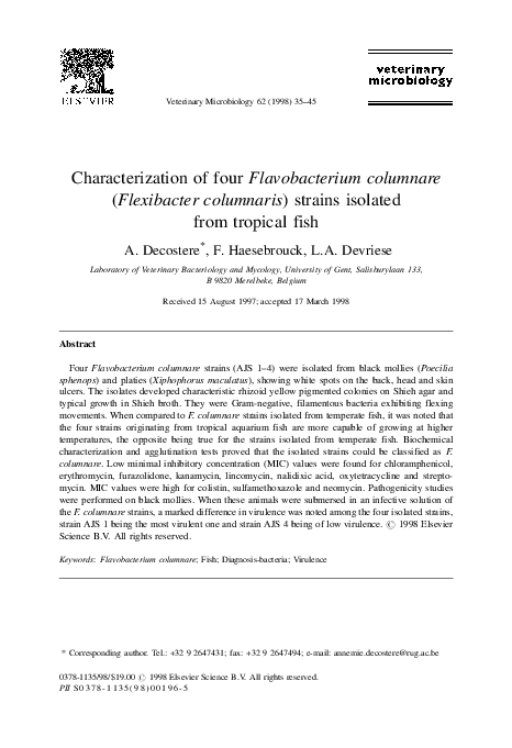 (PDF) Characterization of four Flavobacterium columnare ( Flexibacter ...