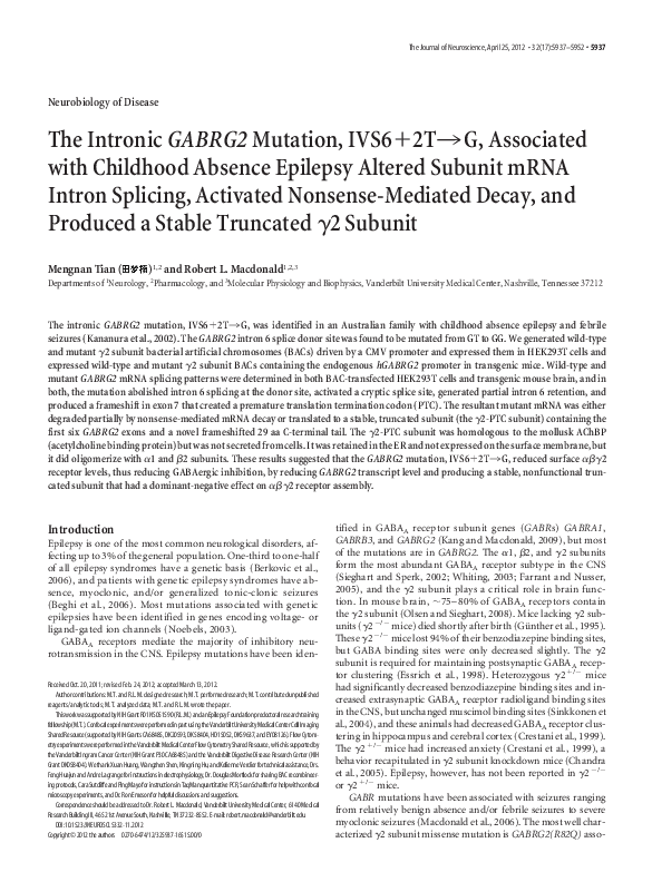 (PDF) The intronic GABRG2 mutation, IVS6+2T->G, associated with ...