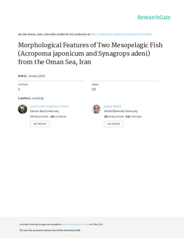 (PDF) Morphological Features of Two Mesopelagic Fish (Acropoma ...