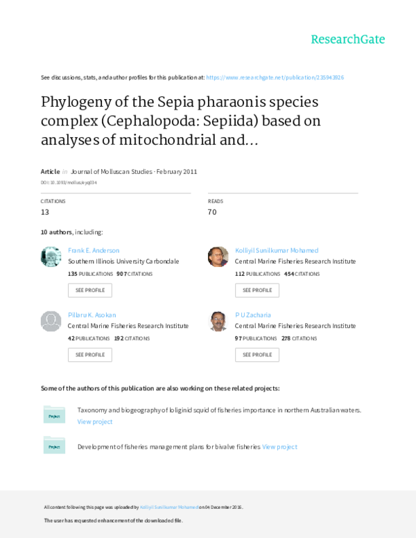 (PDF) Phylogeny of the Sepia pharaonis species complex (Cephalopoda ...