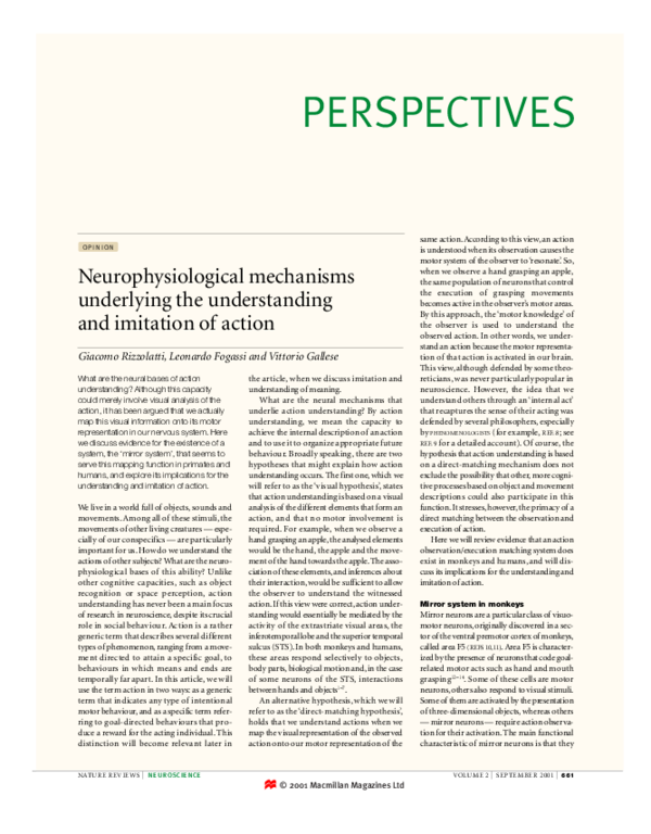 (PDF) Neurophysiological mechanisms underlying the understanding and ...