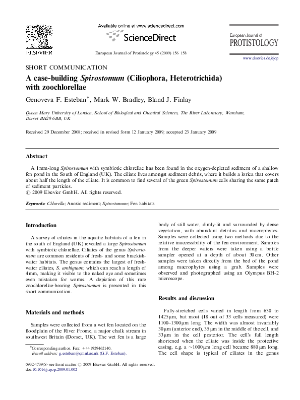 (PDF) A case-building Spirostomum (Ciliophora, Heterotrichida) with ...