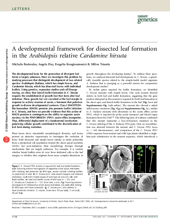 (PDF) A developmental framework for dissected leaf formation in the ...