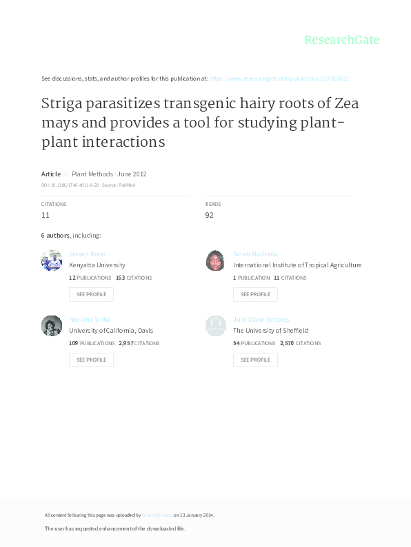 (PDF) Striga parasitizes transgenic hairy roots of Zea mays and ...