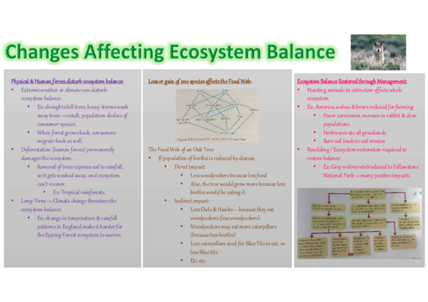 (PDF) Geography GCSE 9 1 CH5 Ecosystems 5 3 Changes Affecting Ecosystem ...