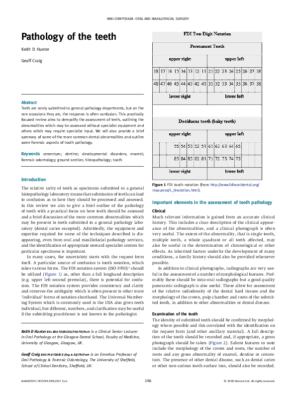 (PDF) Pathology of the teeth