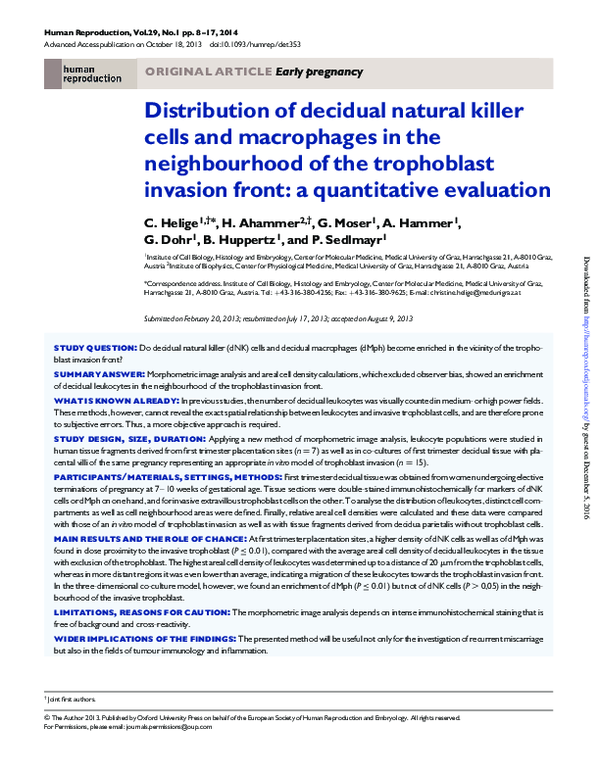 (PDF) A comparison of granulated metrial gland cells with Kurloff cells ...
